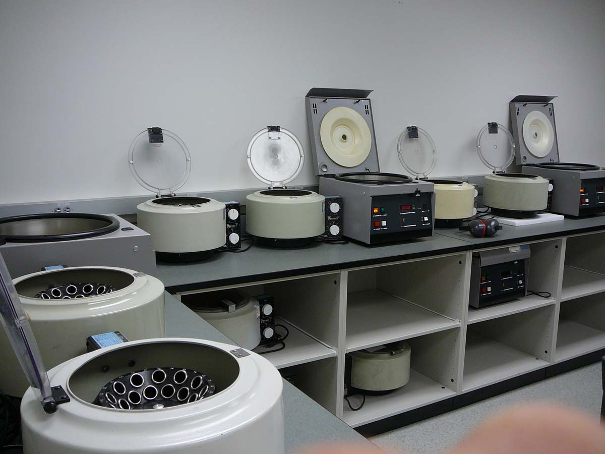 Aculabs Blood Testing Lab – Cornerstone Architectural Group